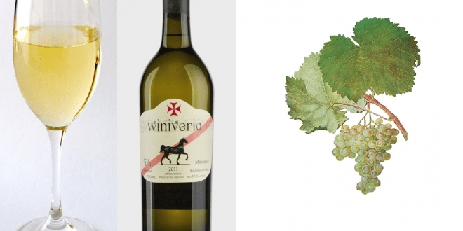 გაიფანტეთ დარდები